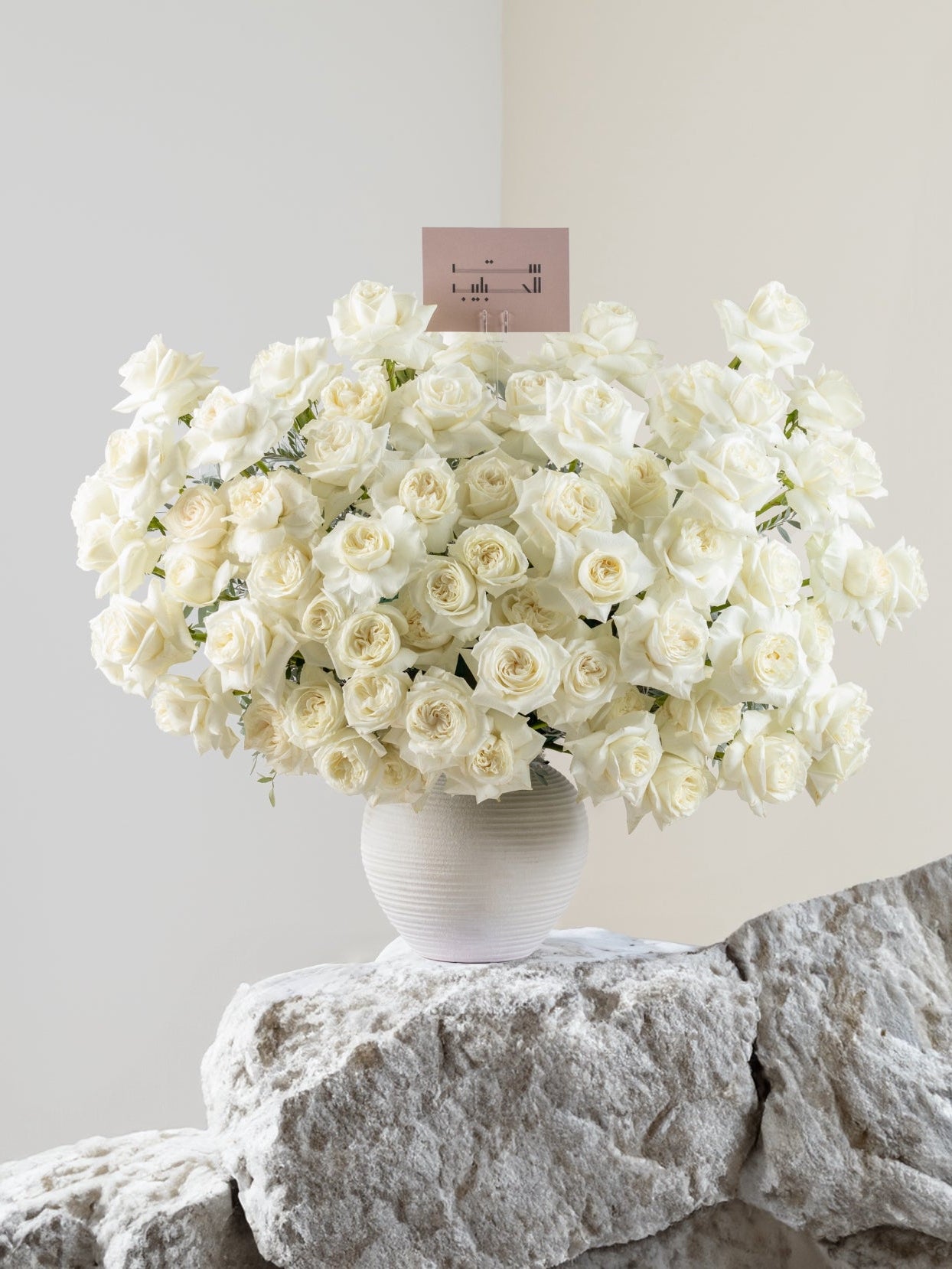 Snow White – Amaryllis Flowers