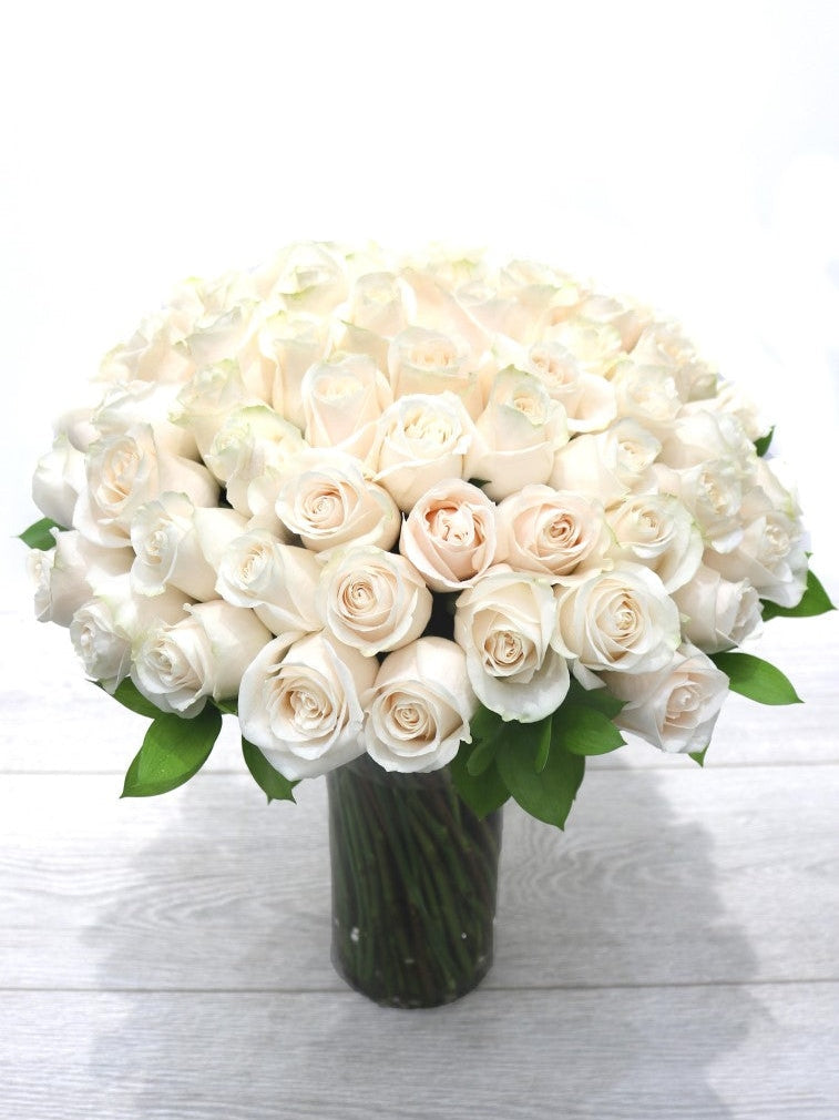 PURE SOUL – Amaryllis Flowers